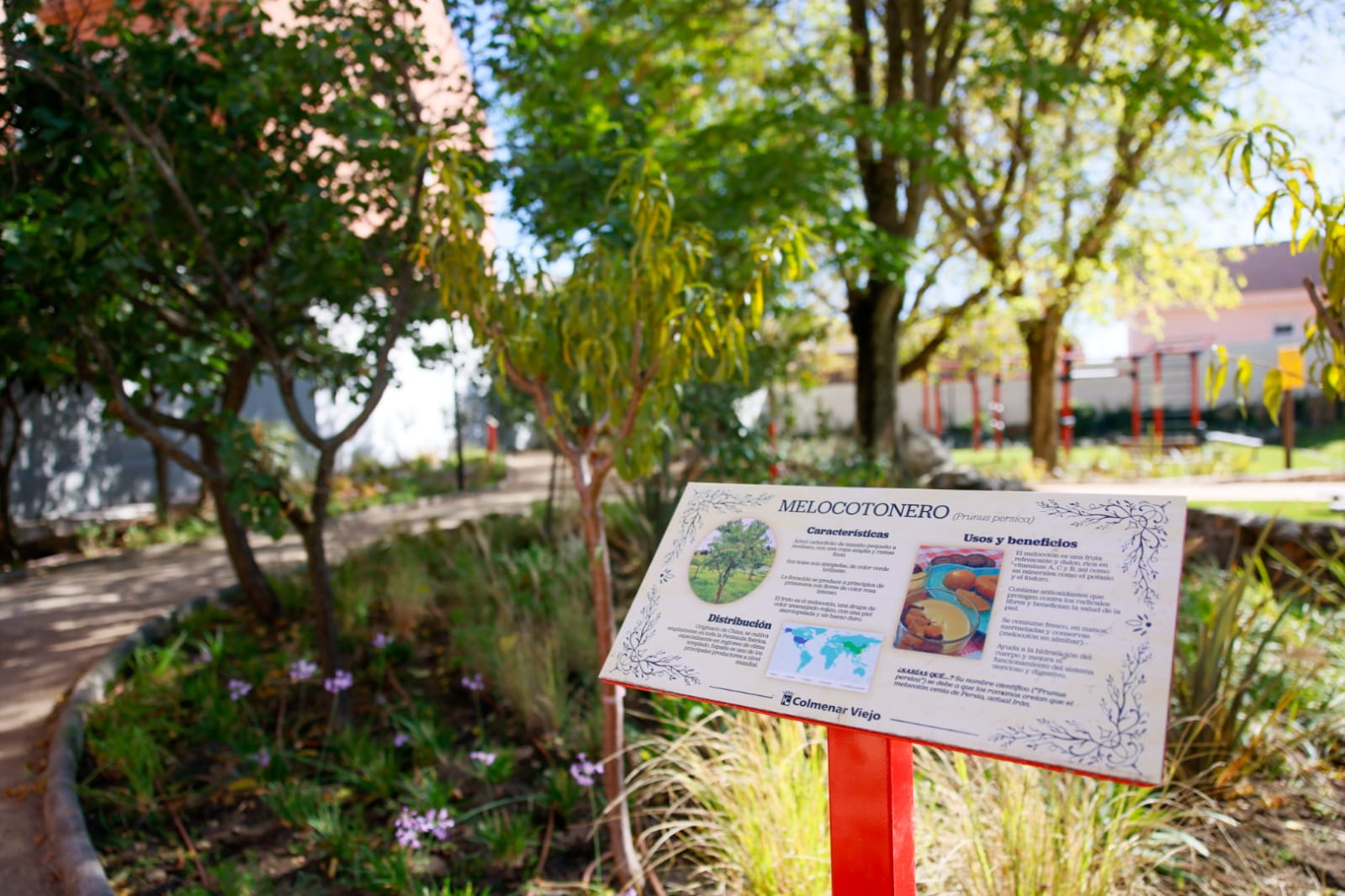 NdP_Abre Parque Alcalde Cosme Jerez_08.jpeg — Ayuntamiento de Colmenar Viejo